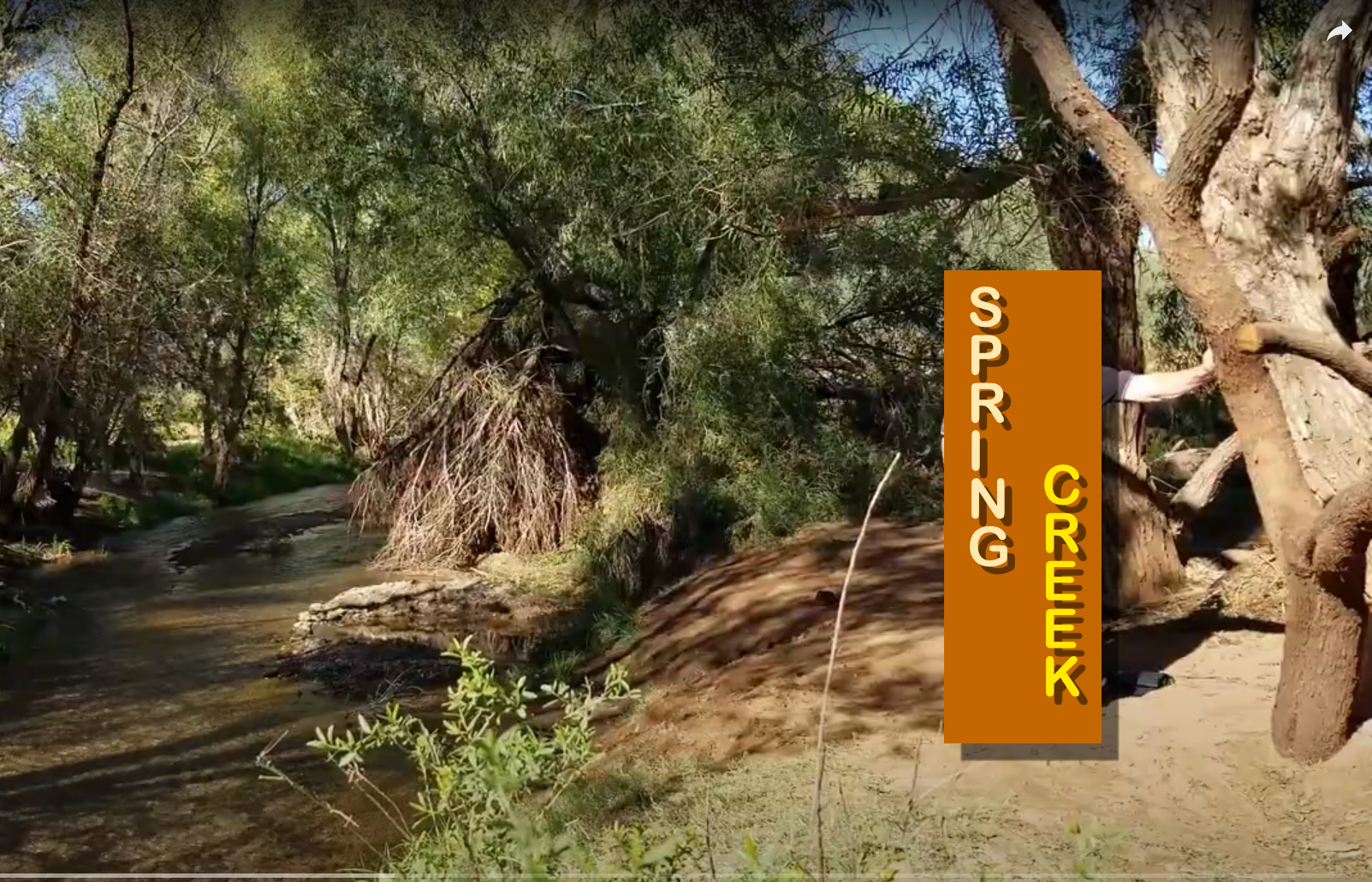 Spring Creek (Cornville) – Birding in the Verde Valley